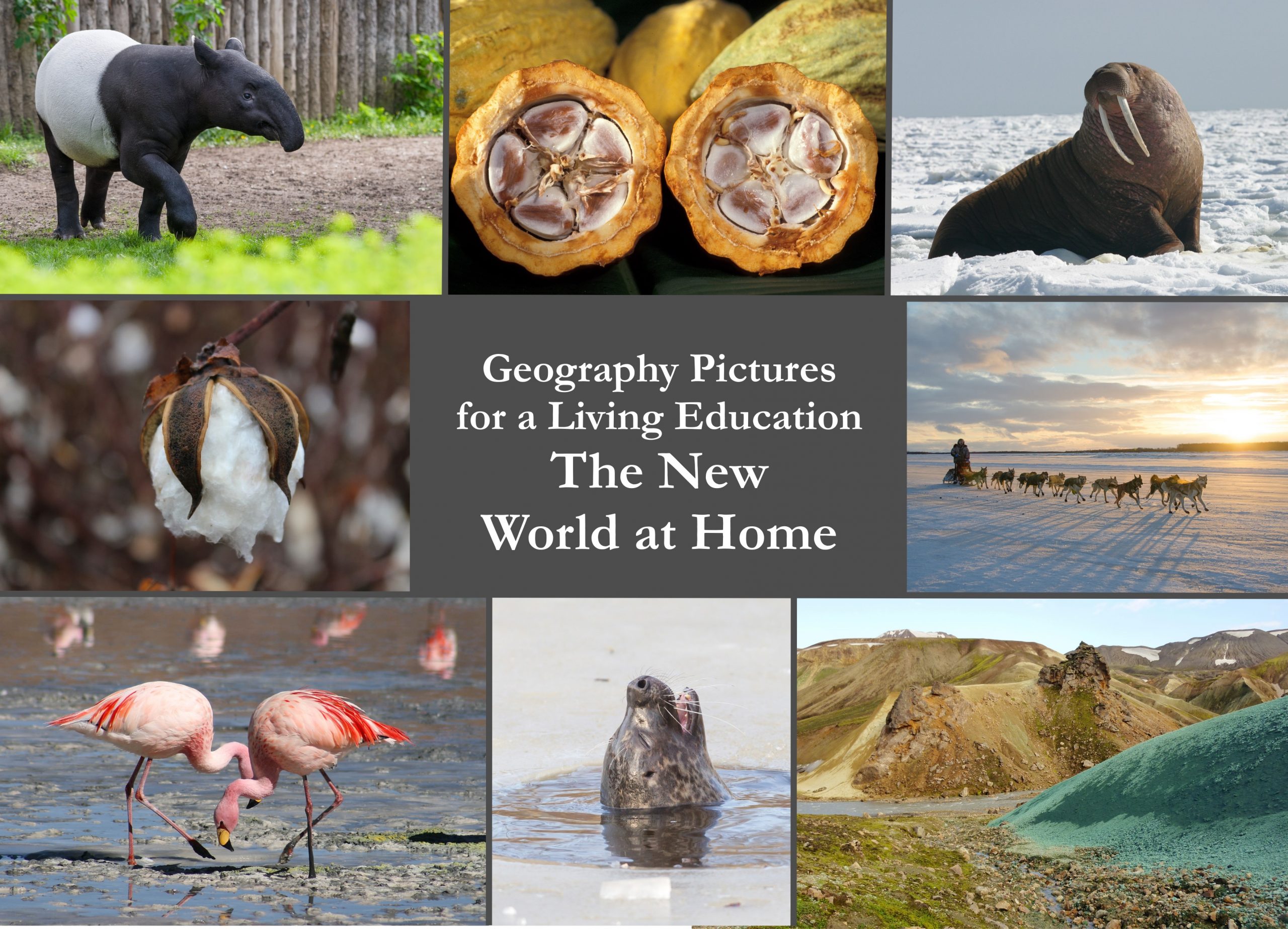 Geography Pictures for a Living Education: The New World at Home ...