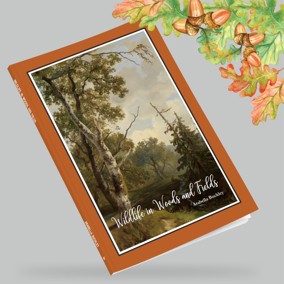 The New World at Home – Charlotte Mason Beehive International