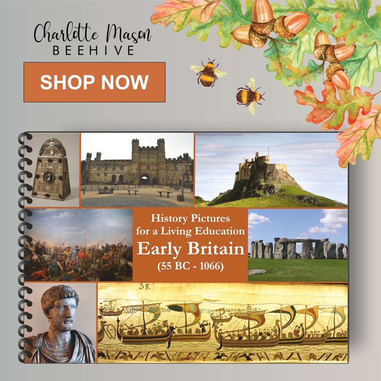 Paper Folding, by H. G. Paterson – Charlotte Mason Beehive International