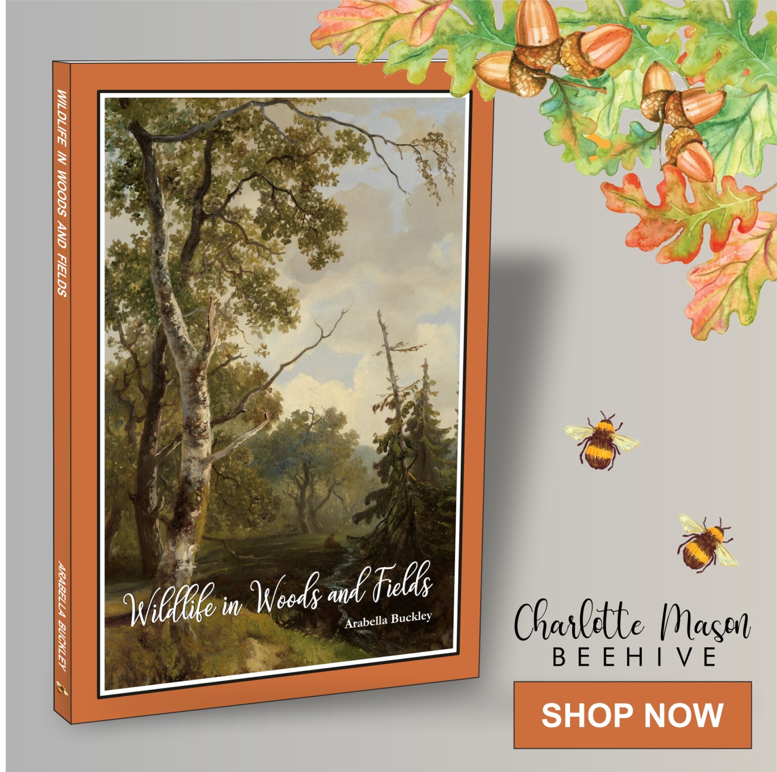 Paper Folding, by H. G. Paterson – Charlotte Mason Beehive International